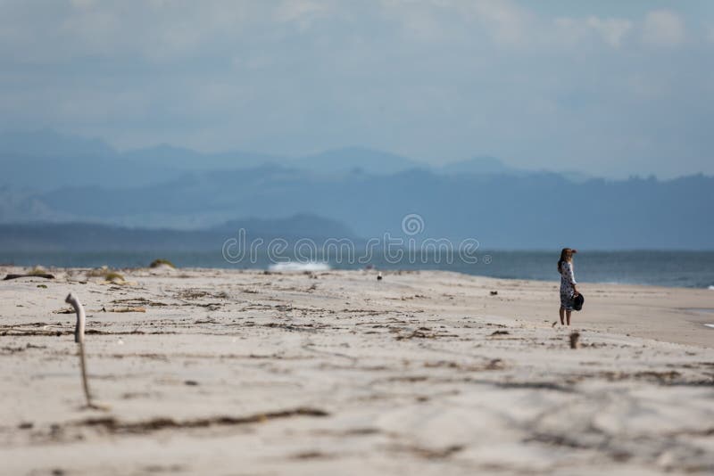 Beach Walk stock photo. Image of alone, walk, sand, solo - 88955902