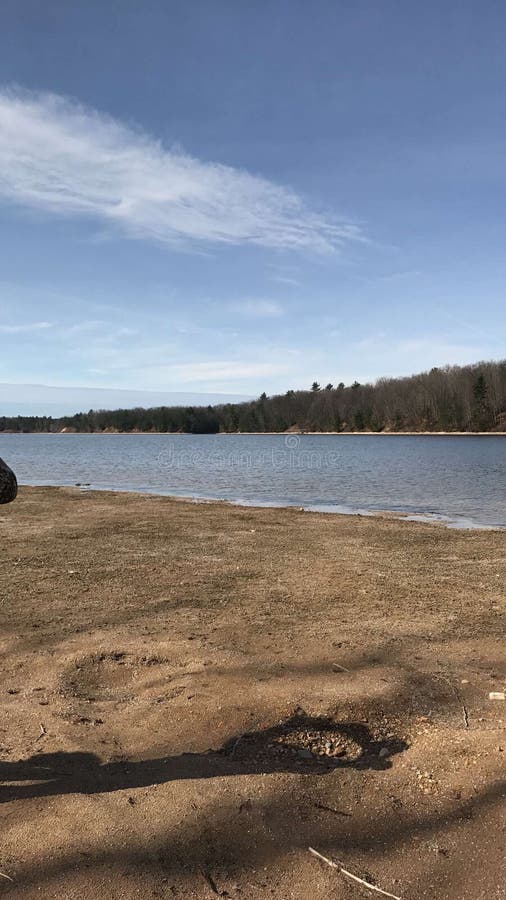 Beach stock image. Image of treeline, sand, coast, landscape - 93072085