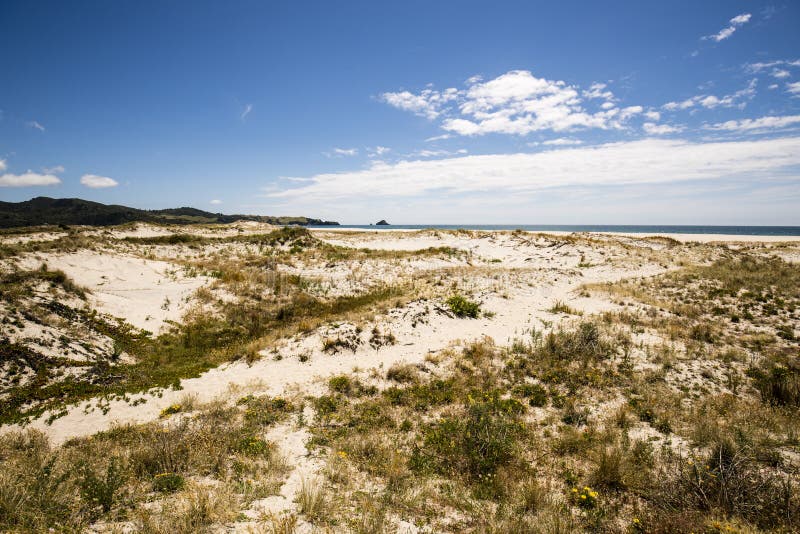 Beach walkway stock photo. Image of vacation, coast, travel - 82372594