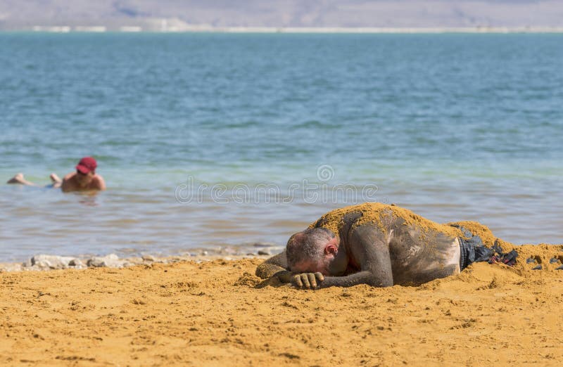 On the Beach and in the Water Editorial Stock Photo - Image of dead ...