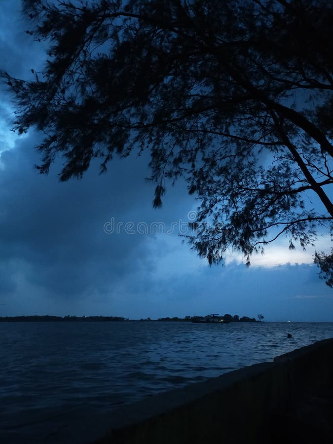 Beach, Water, Landscape Picture, Forest Stock Photo - Image of ...