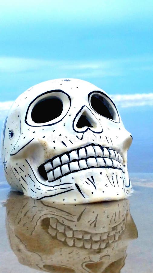 Skull on beach stock image. Image of outdoors, water - 116920899