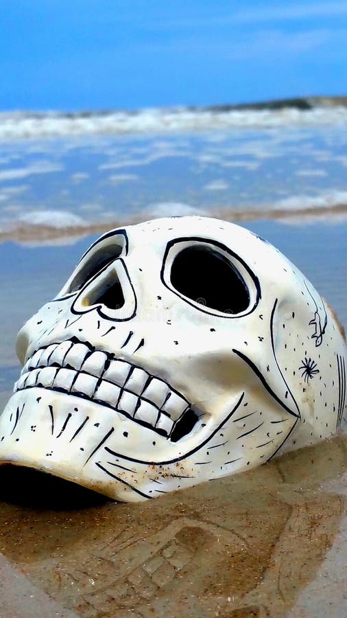 Skull on beach stock image. Image of water, outdoors - 116920917