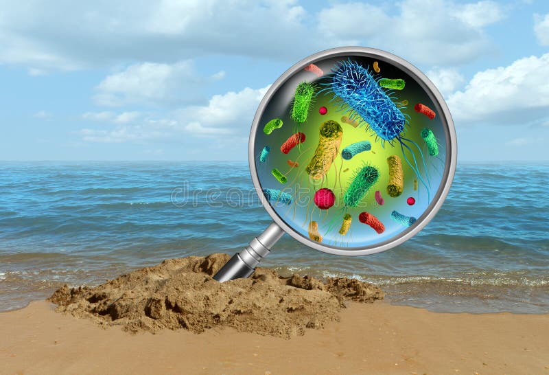 Waterborne Pathogens Stock Illustrations – 130 Waterborne Pathogens ...