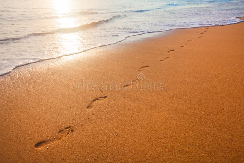 Wave and Footprints on the Sand Stock Photo - Image of golden, holidays ...