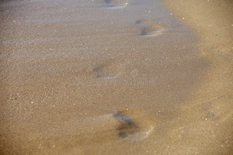Beach, Wave and Footprints at Sunset Time Stock Photo - Image of nature ...
