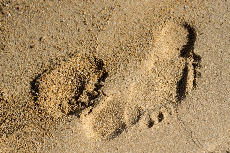 Beach and Footsteps at Sunset Time Stock Photo - Image of lonely ...