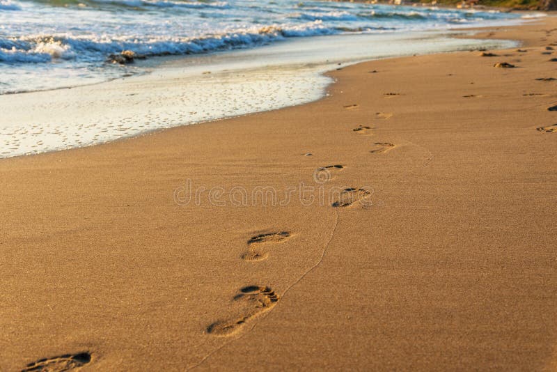 Footsteps on the beach. stock photo. Image of nature - 118194406