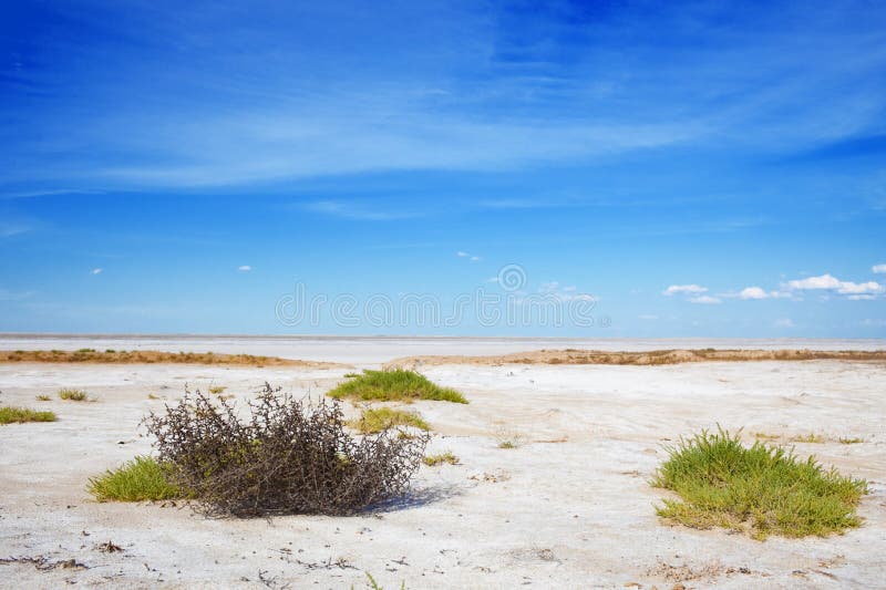 Beach Way stock photo. Image of grass, hill, meteorology - 10249508
