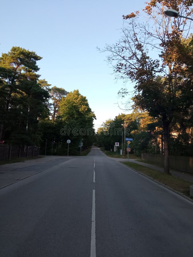 Beach way evening tree sky stock photo. Image of tree - 226560118