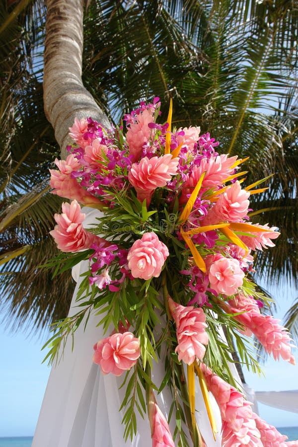 Beach wedding bouquet stock image. Image of wedding, tropical - 18885513