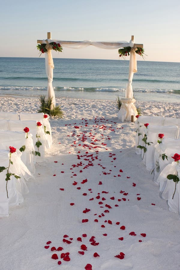 Beach Wedding Path Rose Petals Stock Photo - Image of matrimony, waves ...