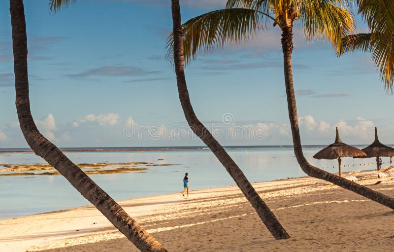 Mauritius Beach on West Coast Stock Image - Image of morning, early ...
