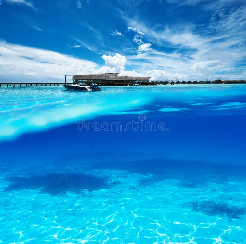 White Sand Beach and Fishes Underwater Stock Image - Image of beach ...