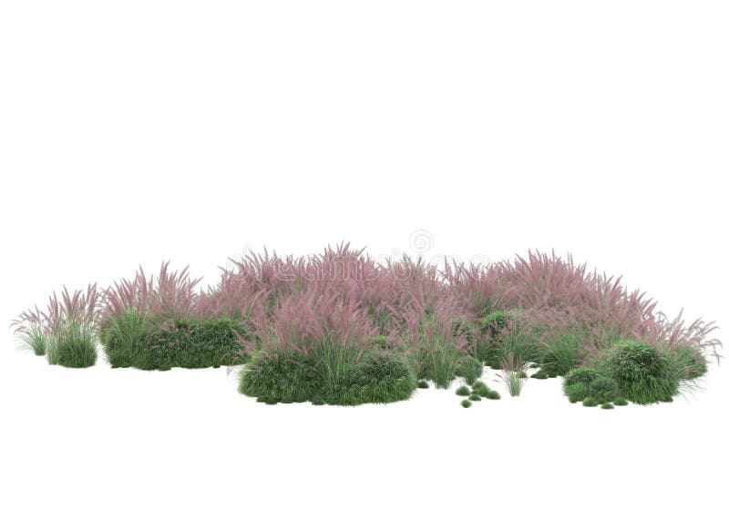 Beach Grass Illustration Transparent Background Stock Illustrations ...