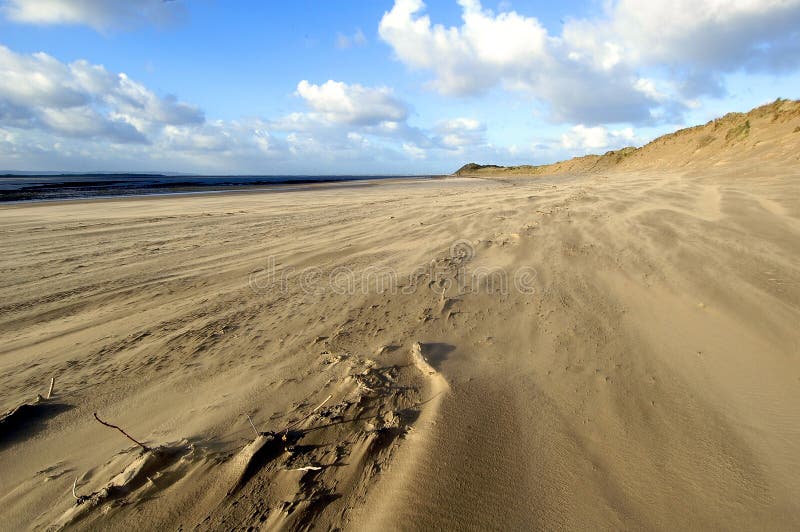 Beach in the Wind stock image. Image of burrows, sandy, beach - 75041