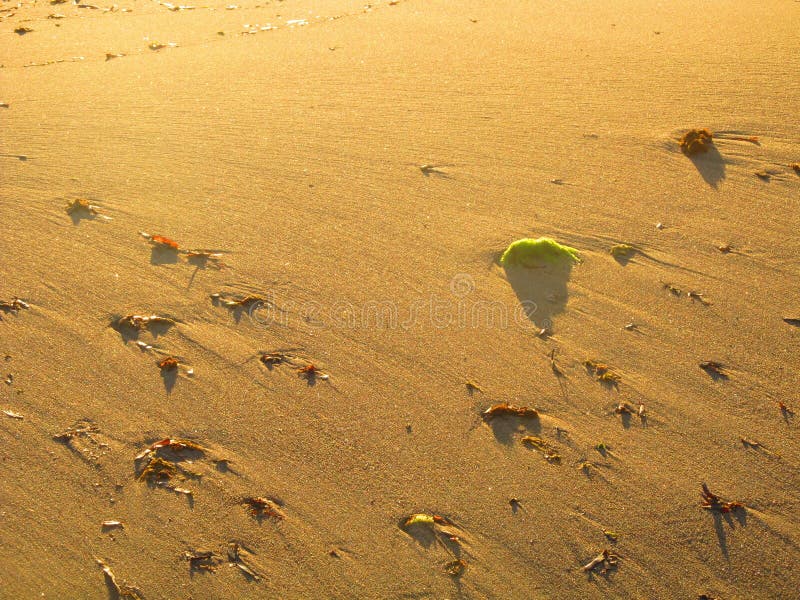 By the beach stock image. Image of storm, beach, greece - 42604709