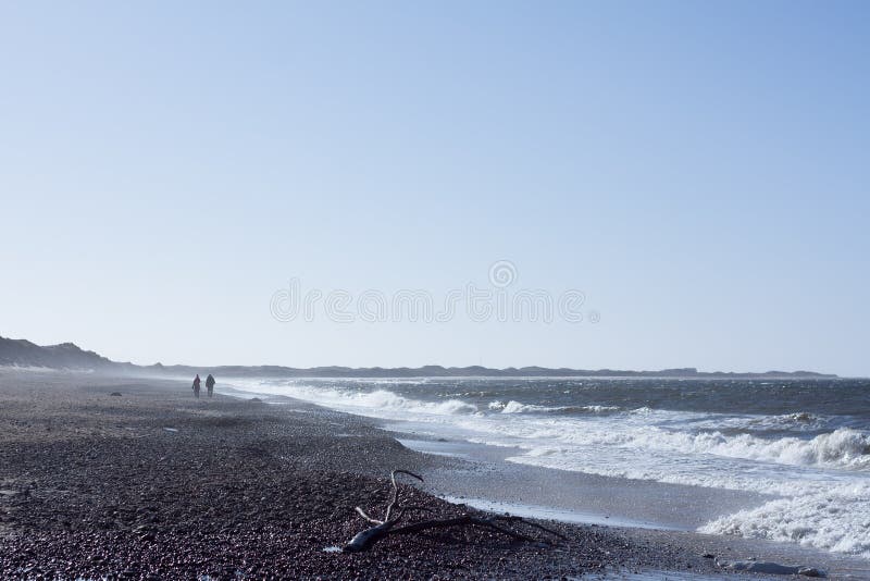 Beach in winter stock image. Image of snow, horizon - 139768421