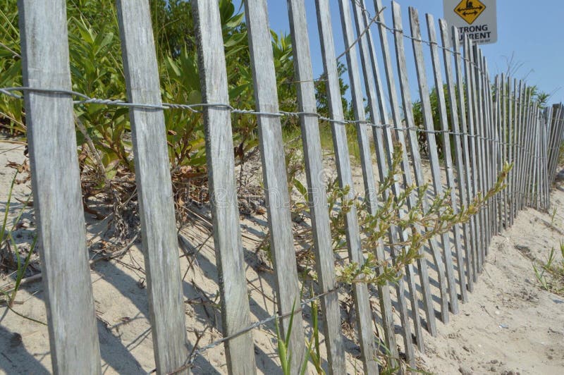 Beach stock photo. Image of fence, beach, shore, seasonal - 58254264