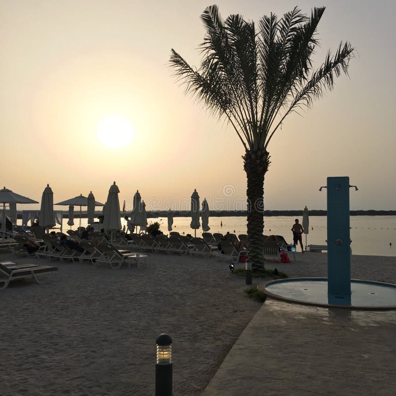 Beach editorial stock image. Image of sunset, beach, light - 72924519