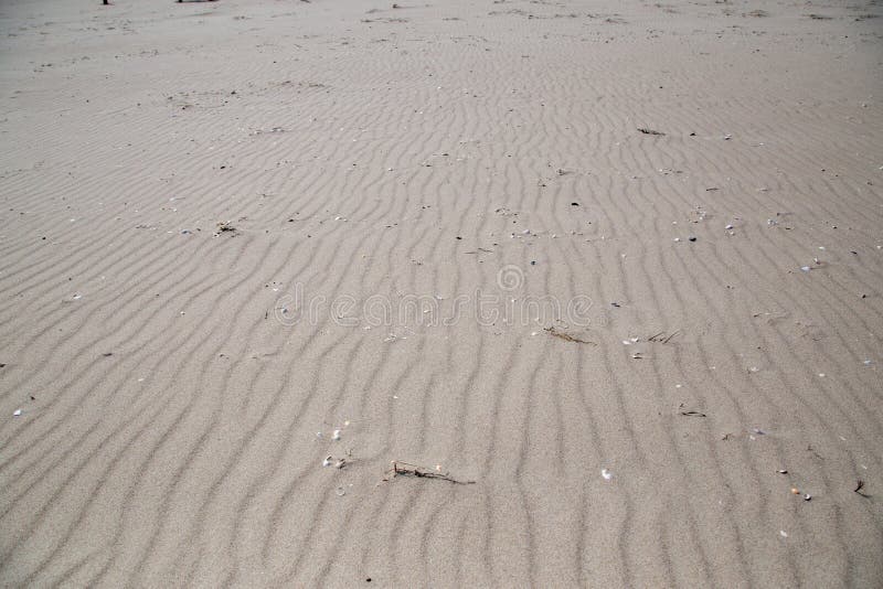 The Beach of Zempin without Footprints with Fine, Wind-generated ...