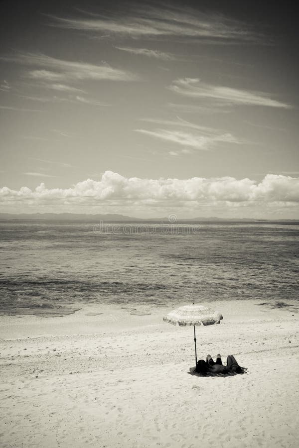 Beachcomber Island stock image. Image of beach, bula - 16909517
