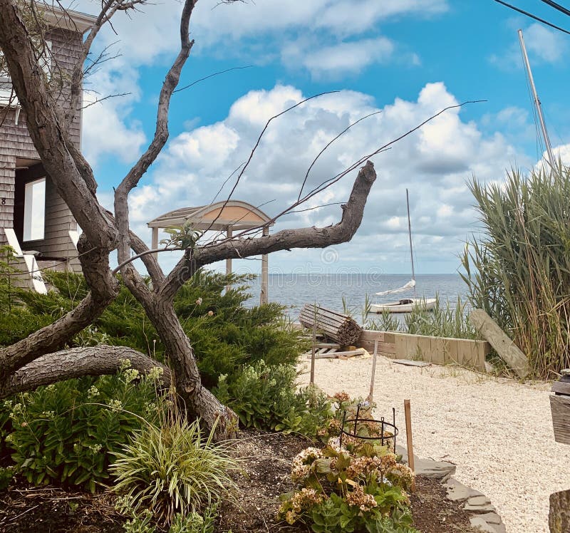 A beachcombers dream stock photo. Image of beachcombers - 200579018