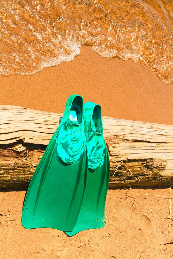 Beached Flippers stock photo. Image of ocean, beach, color - 19887756