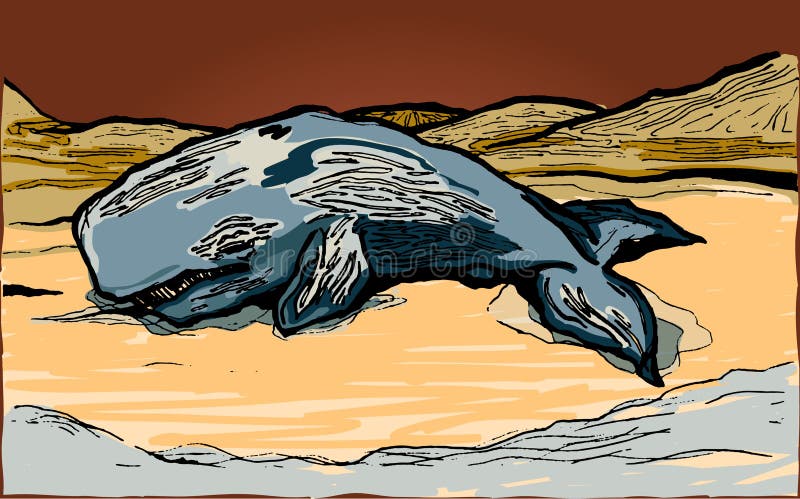 Beached Whale Stock Illustrations – 42 Beached Whale Stock ...