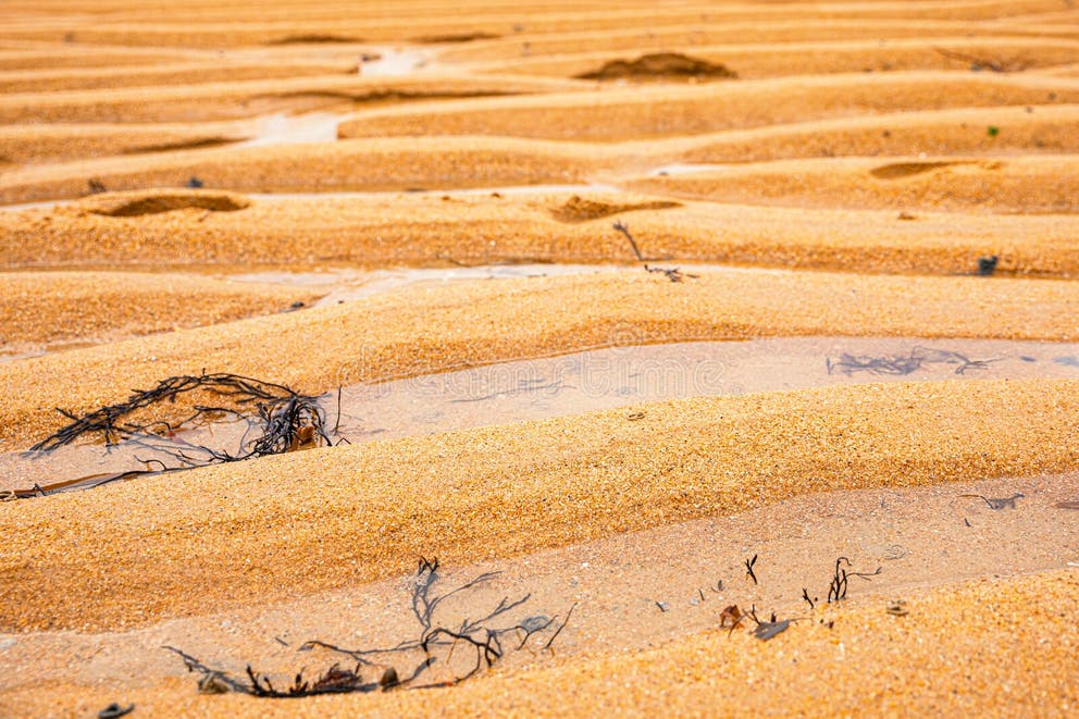 The Beaches on the Atlantic Stock Photo - Image of landscape, atlantic ...