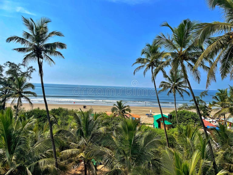Beaches of Goa are Love of Life Stock Image - Image of tropics, resort ...