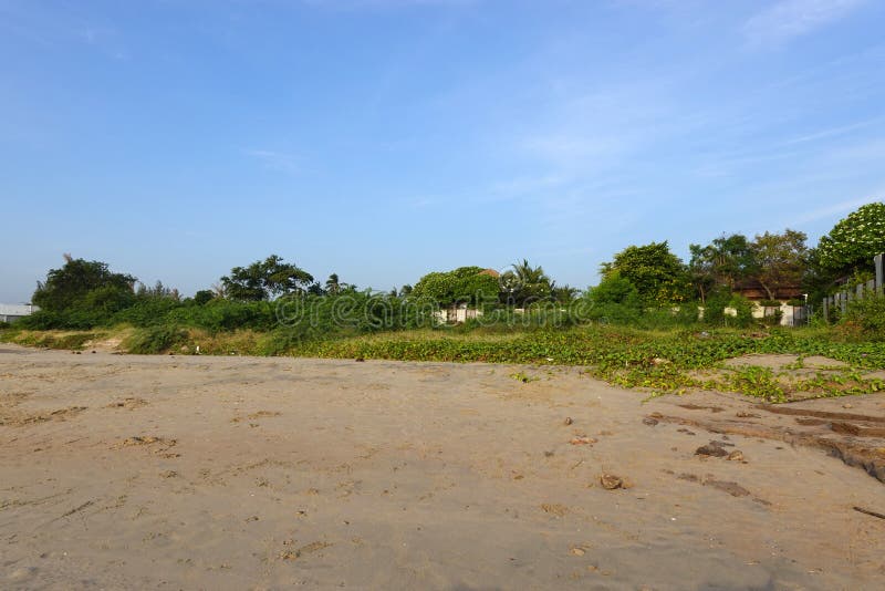 Beachfront Land for Sale Concept. Landscape of Empty Land Plot for ... Beachfront Land for Sale Concept. Landscape of Empty Land Plot for ...