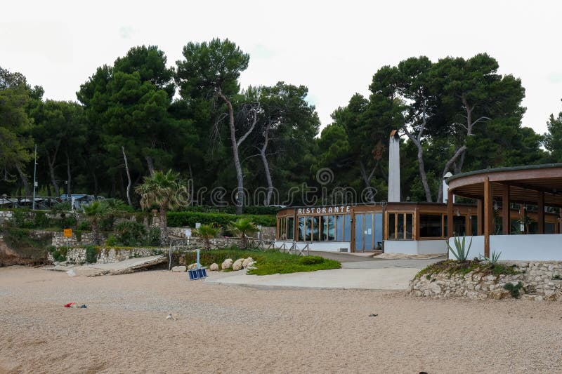 Beachfront Restaurant with Pine Trees Background Stock Image - Image of ...
