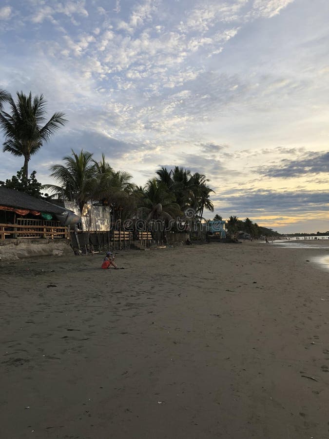 Beachin` editorial image. Image of coconut, beachin - 124144980