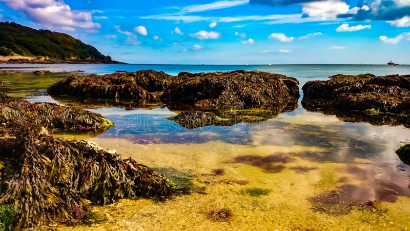 Beachscape stock photo. Image of seascape, oceanscape - 98312292