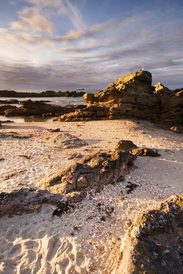 Beachscape at sunset stock image. Image of tracks, outcrop - 11339089