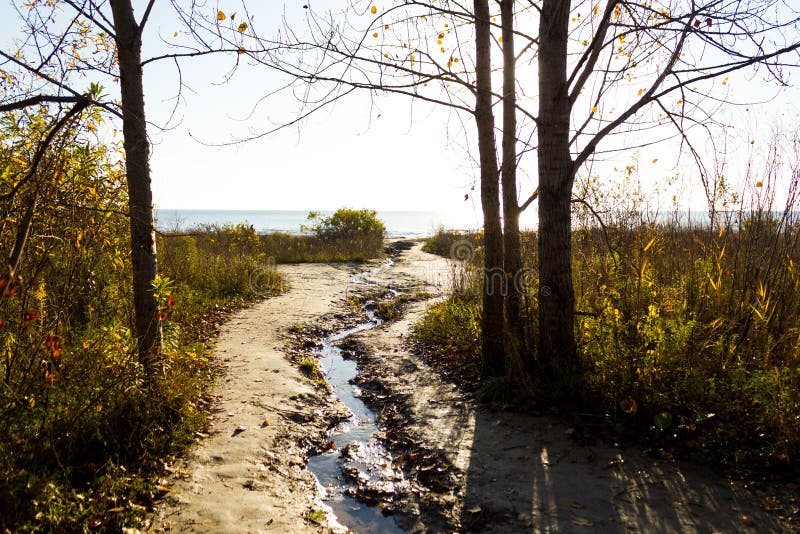 Beachside sunsine. stock photo. Image of tranquil, landscape - 76814924