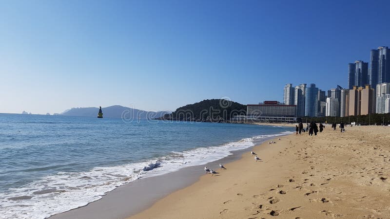 Beachtime Winter Beach Busan Southkorea Stock Image - Image of beach ...