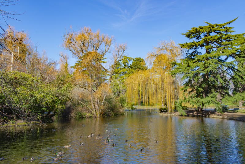 Beacon Hill Park during the Spring in Victoria, Canada Stock Image ...