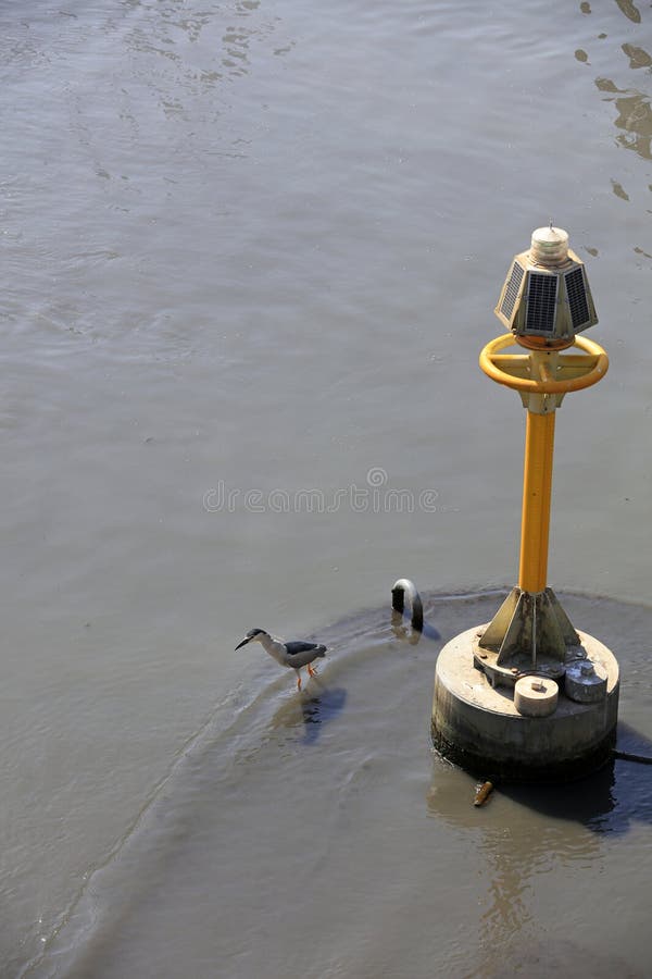 Beacon Lights in Huangpu River Stock Image - Image of beacon, current ...