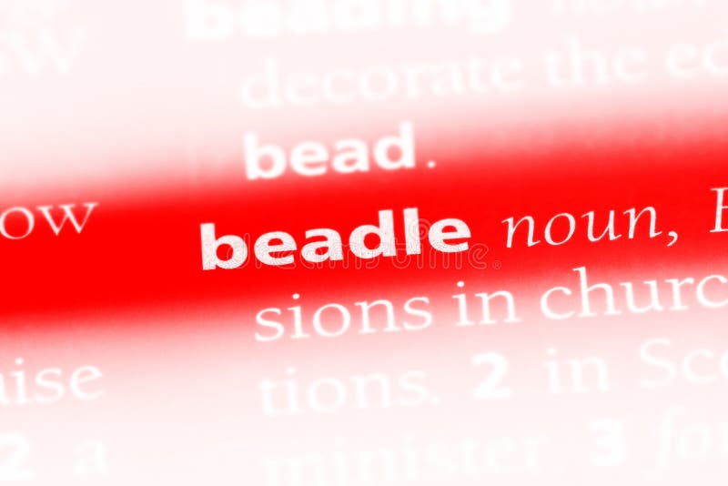 Beadle stock image. Image of idea, page, info, definition - 114404801