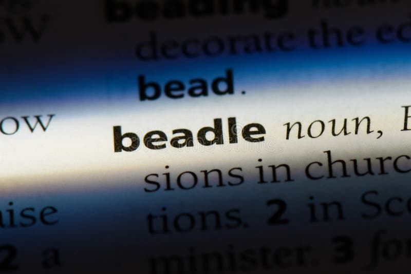 Beadle stock image. Image of idea, page, info, definition - 114404801