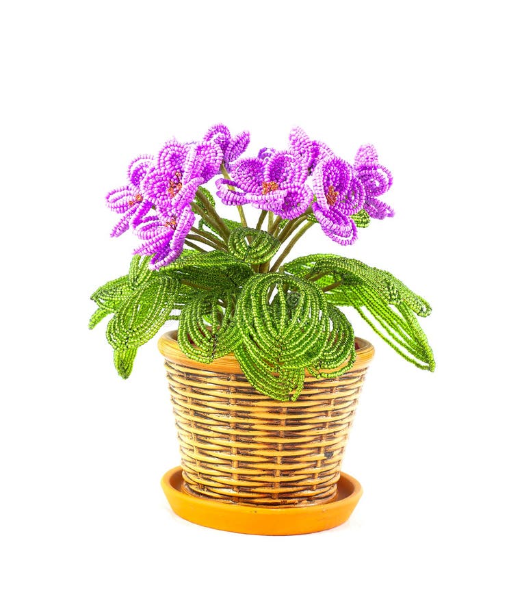 Beads flower isolated stock photo. Image of aperture - 65823056