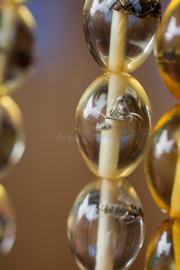 Beads of the Same Type and Color Stock Image - Image of beads, bead ...