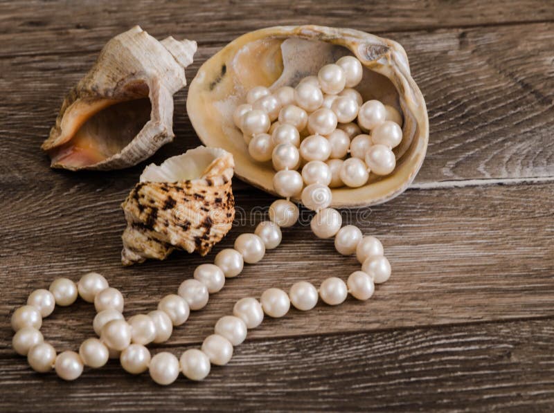 Beads and shell stock photo. Image of vacation, shell - 51663028