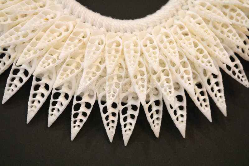 Beads of shells stock photo. Image of beads, calcium - 79280678