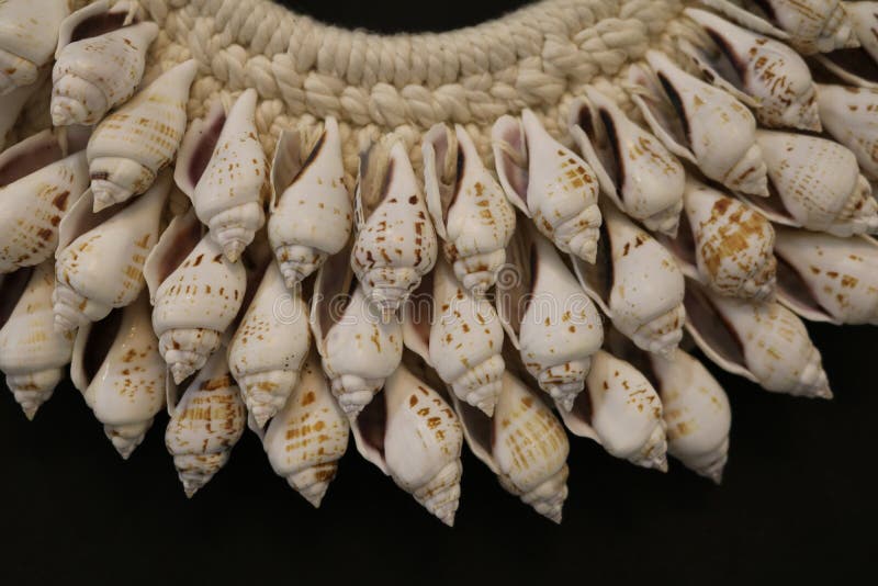 Beads of shells stock image. Image of shell, cover, mollusks - 79280685