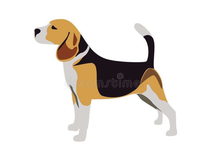 Beagle Stock Illustrations – 13,285 Beagle Stock Illustrations, Vectors ...