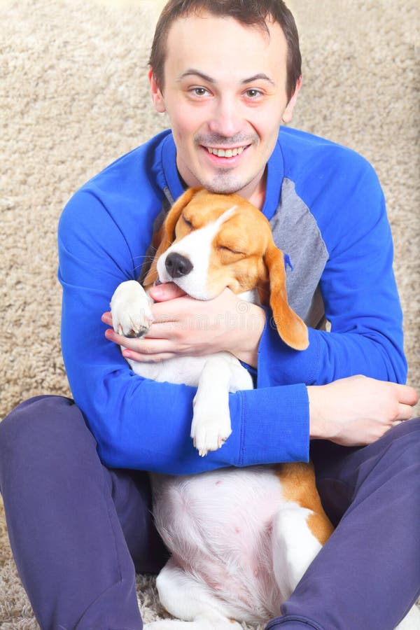 Beagle Dog with His Happy Owner Stock Photo - Image of couch, nature ...