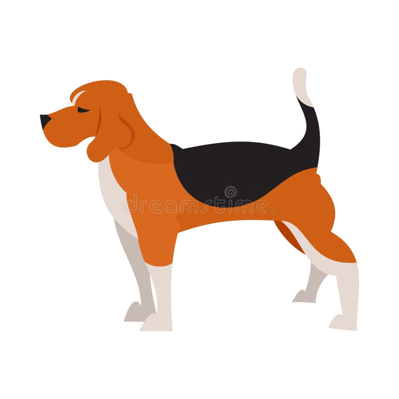 Beagle Vector Illustration Side View Stock Illustrations – 92 Beagle ...